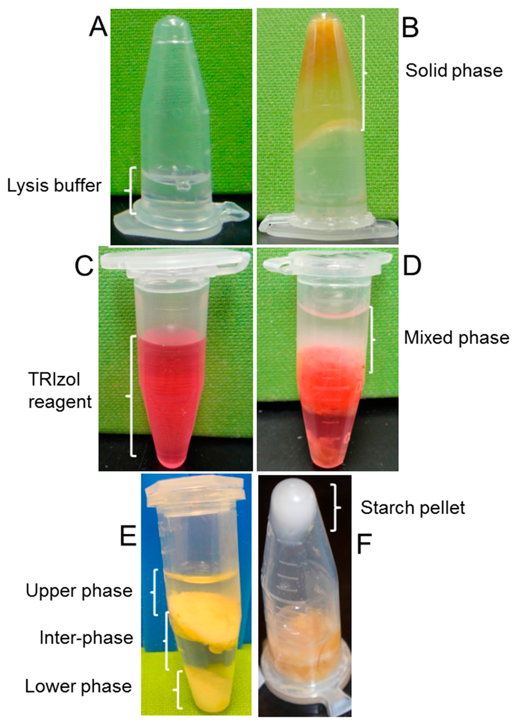 Lysis Buffer Recipe For Rna Extraction - My Bios Lysis Buffer Recipe For Rna Extraction - My Bios