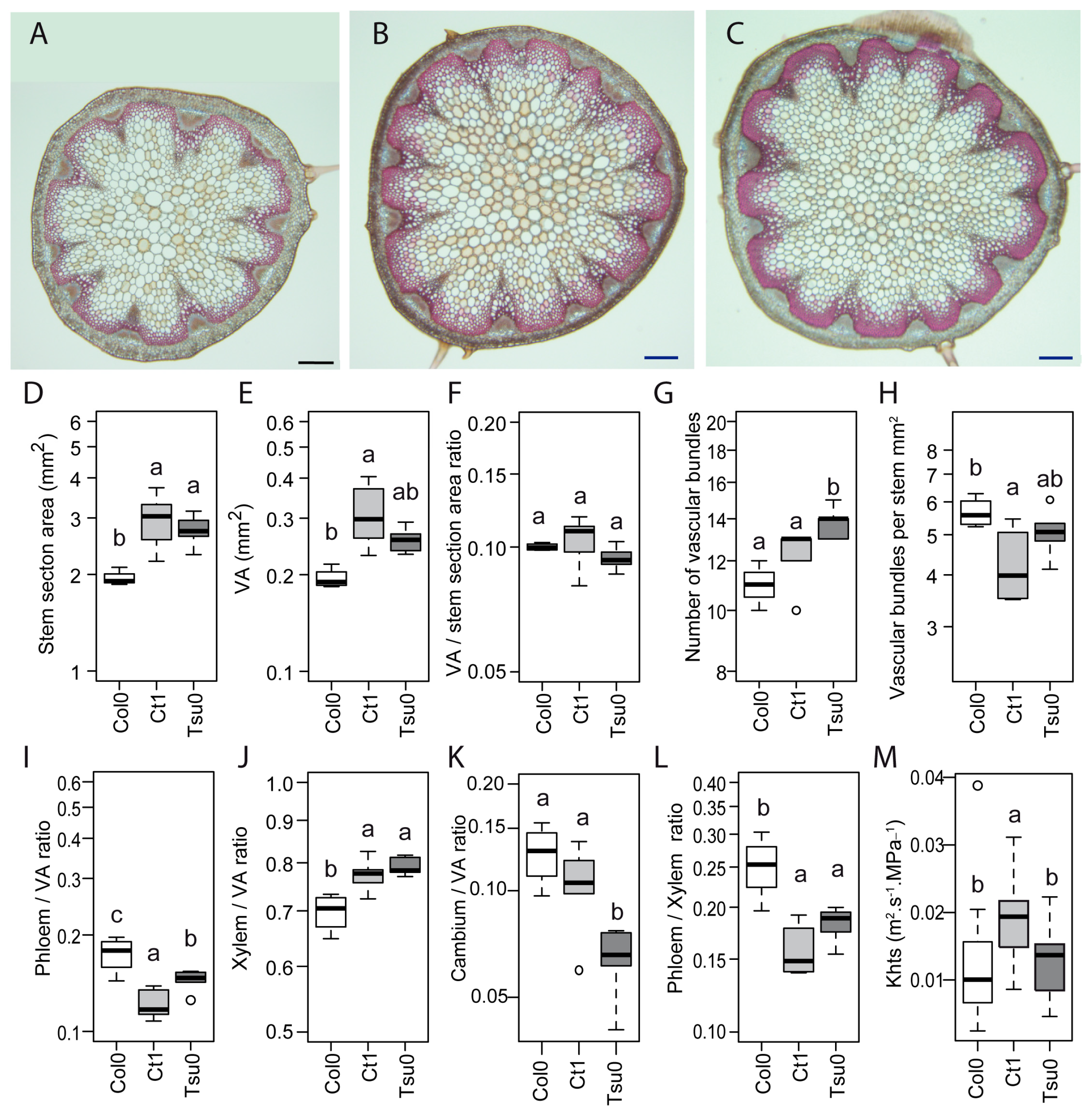 Arabidopsis Natural Accessions Display Adaptations in Inflorescence ...