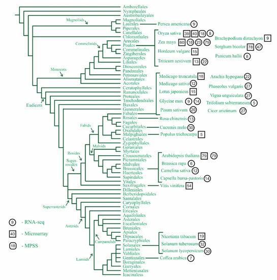 Gene Expression Maps in Plants: Current State and Prospects