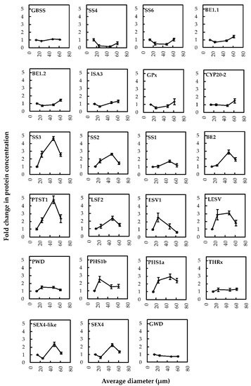 Intra-Sample Heterogeneity of Potato Starch Reveals Fluctuation of ...