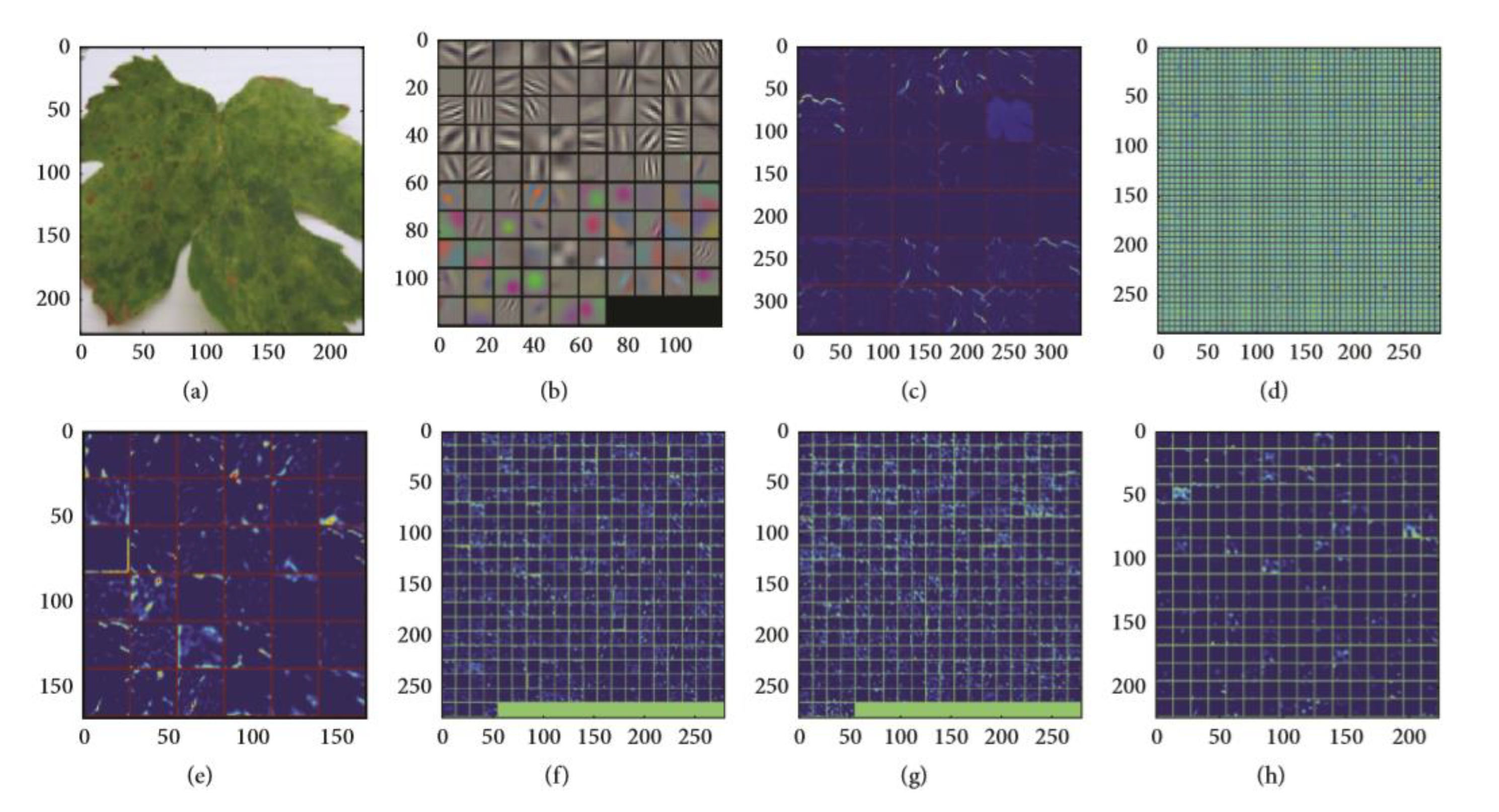 Plants Free Full Text Plant Disease Detection And Classification By Deep Learning