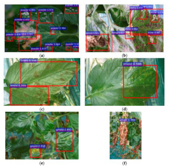 Plant Disease Detection and Classification by Deep Learning