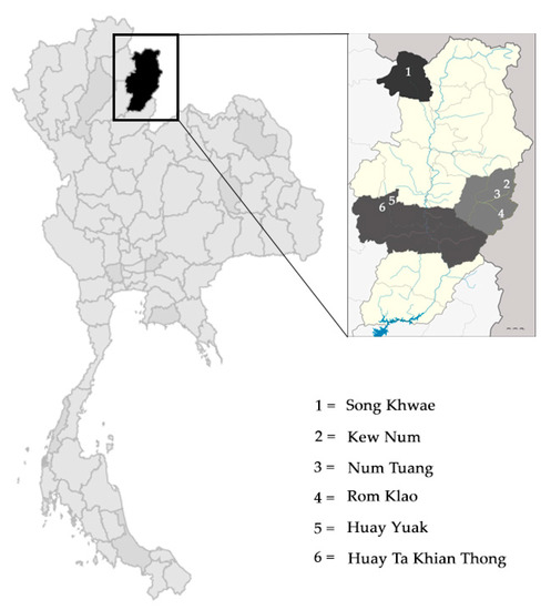 Exotic Plants Used by the Hmong in Thailand