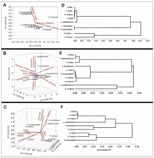 Characterization of Cover Crop Rooting Types from Integration of ...