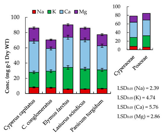 Plants | Free Full-Text | Nutritional Value, Mineral Composition ...