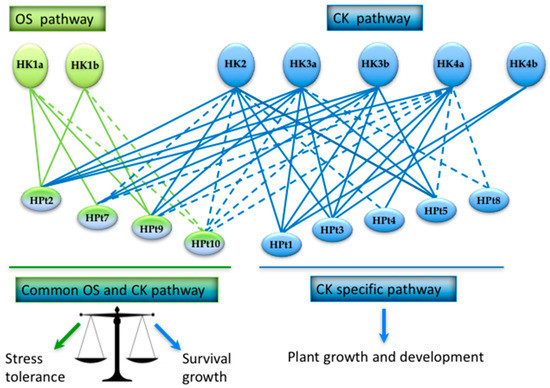 Plants | Special Issue : The Plant Two-Component System