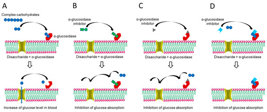 Alpha Glucosidase Inhibitory Activities of Plants with Focus on Common ...