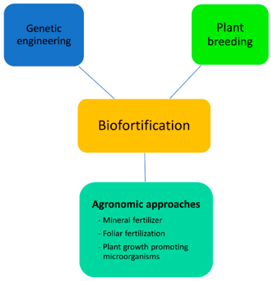 Biofortification of Pulse Crops: Status and Future Perspectives