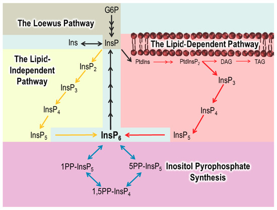 Can Inositol Pyrophosphates Inform Strategies for Developing Low ...