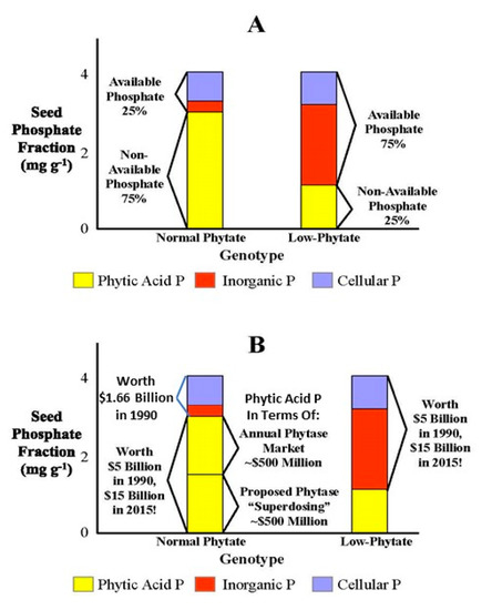 Low phytic acid Crops: Observations Based on Four Decades of Research