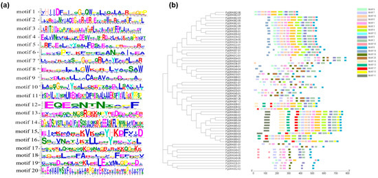 Transcriptome-Wide Identification, Evolutionary Analysis, and GA Stress ...