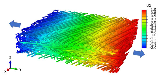 Investigating Effects of Bordered Pit Membrane Morphology and ...