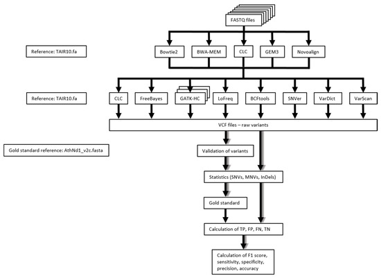 Comparison of Read Mapping and Variant Calling Tools for the Analysis of Plant NGS Data
