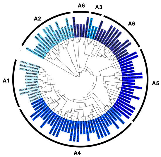 Characterization of the AP2/ERF Transcription Factor Family and ...