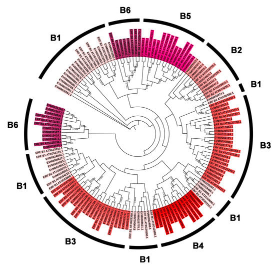Characterization of the AP2/ERF Transcription Factor Family and ...