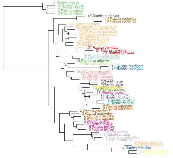Unraveling the Phylogenomic Relationships of the Most Diverse African ...