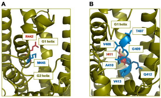 The Product Specificities of Maize Terpene Synthases TPS4 and TPS10 Are ...