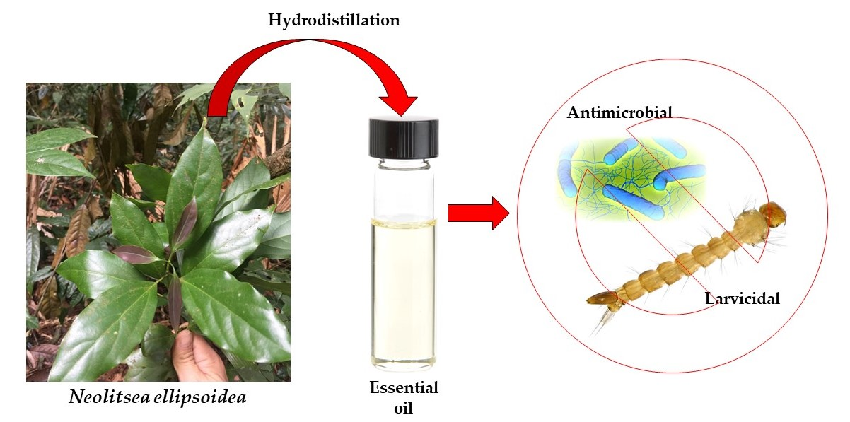 Plants | Free Full-Text | Chemical Compositions, Mosquito Larvicidal ...