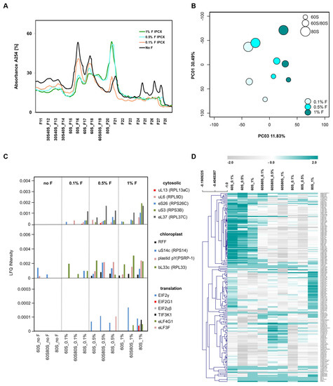 Plants | Free Full-Text | Separation and Paired Proteome Profiling of ...
