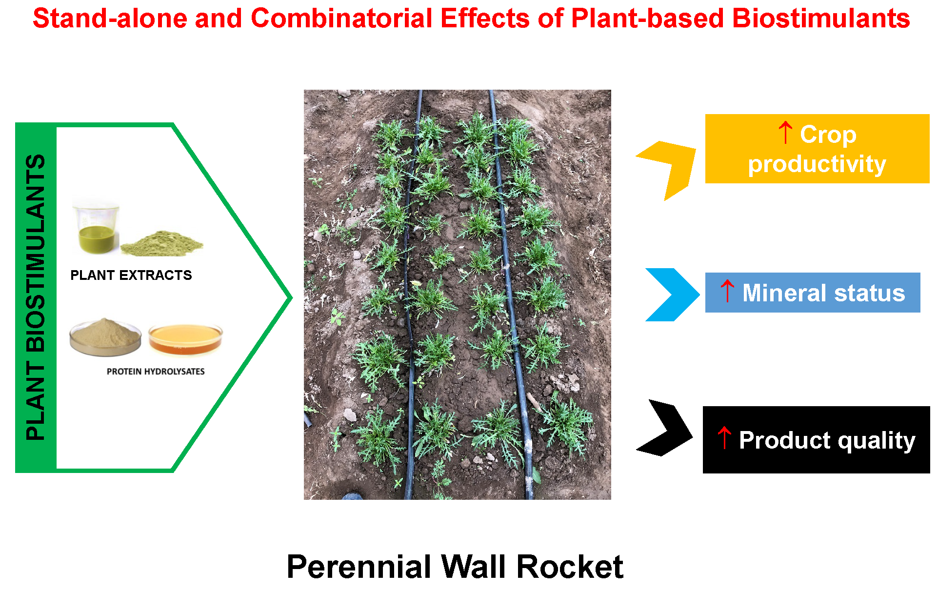 Plants | Free Full-Text | Stand-Alone and Combinatorial Effects of ...