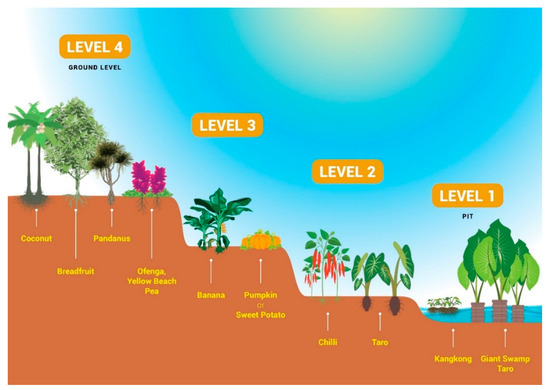 Macro- and Micronutrients from Traditional Food Plants Could Improve ...