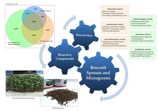 Plants | Free Full-Text | Bioactive Compounds and Bioactivities of ...