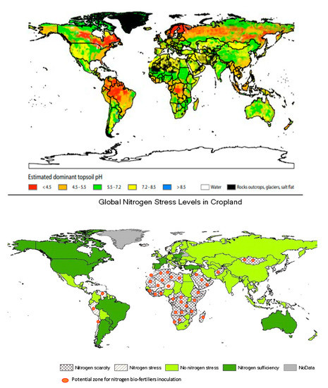 Exploiting Biological Nitrogen Fixation: A Route Towards a Sustainable ...