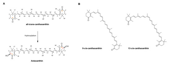 Canthaxanthin, a Red-Hot Carotenoid: Applications, Synthesis, and ...