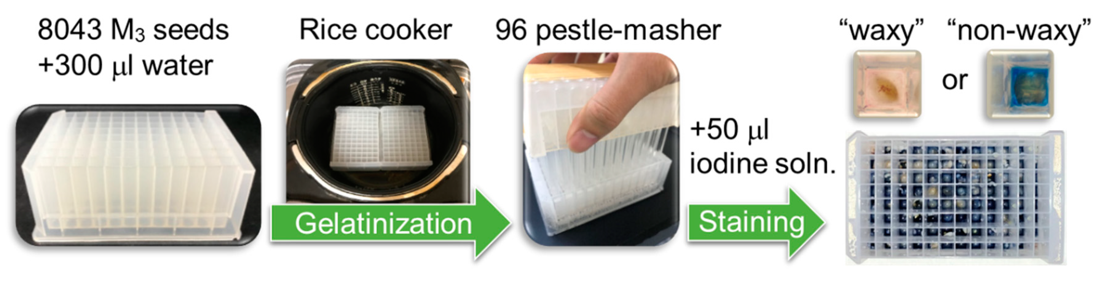 Fast and Inexpensive Phenotyping and Genotyping Methods for Evaluation ...
