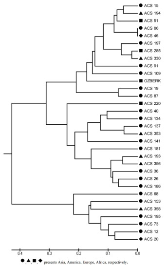 Genome-Wide Discovery of InDel Markers in Sesame (Sesamum indicum L ...