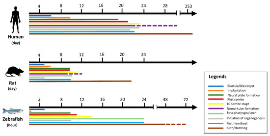 Zebrafish as a Successful Animal Model for Screening Toxicity of ...