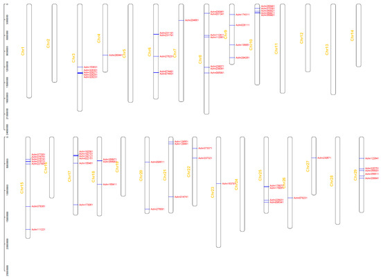 Identification and Analysis of NBS-LRR Genes in Actinidia chinensis Genome