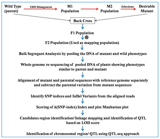Next Generation Sequencing Based Forward Genetic Approaches for ...