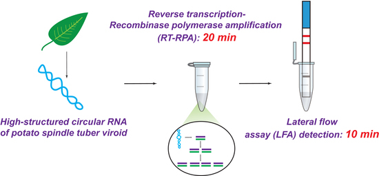 Plants | Special Issue : Diagnosis and Control of Plant Viral Diseases