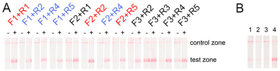 The Challenge for Rapid Detection of High-Structured Circular RNA ...