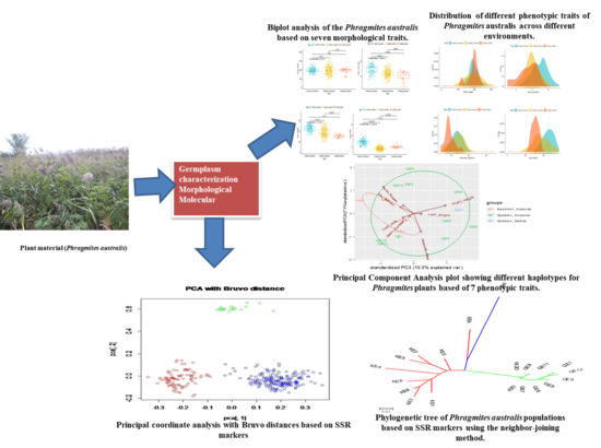 Plants | Special Issue : Competition among Native and Invasive Plants