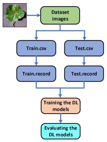 Plants | Free Full-Text | Image-Based Plant Disease Identification by ...