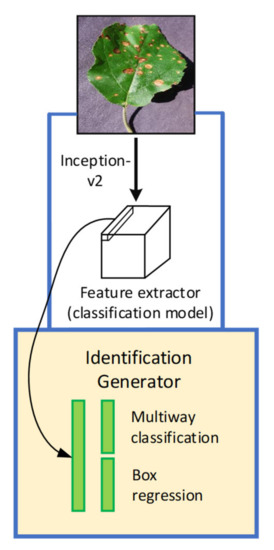 Plants | Free Full-Text | Image-Based Plant Disease Identification by ...