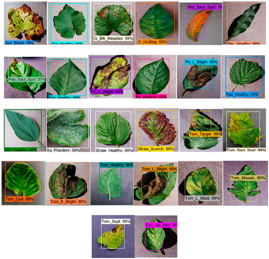 Plants | Free Full-Text | Image-Based Plant Disease Identification by ...