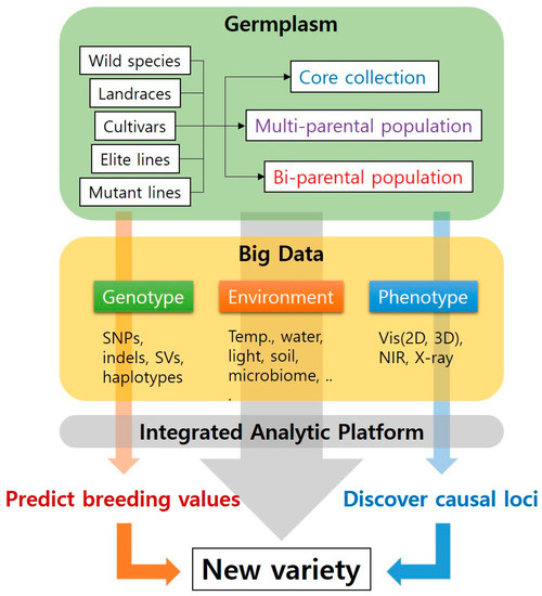 Application of Genomic Big Data in Plant Breeding: Past, Present, and ...