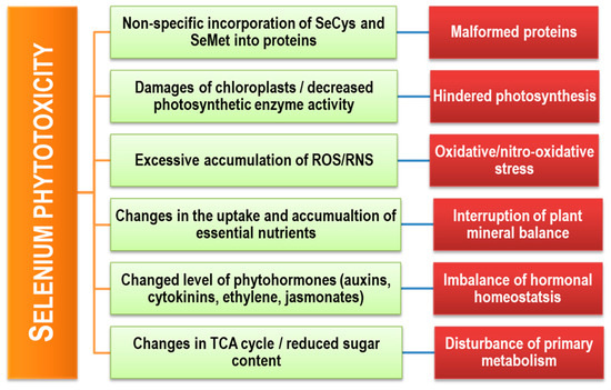 Selenium Toxicity in Plants and Environment: Biogeochemistry and ...