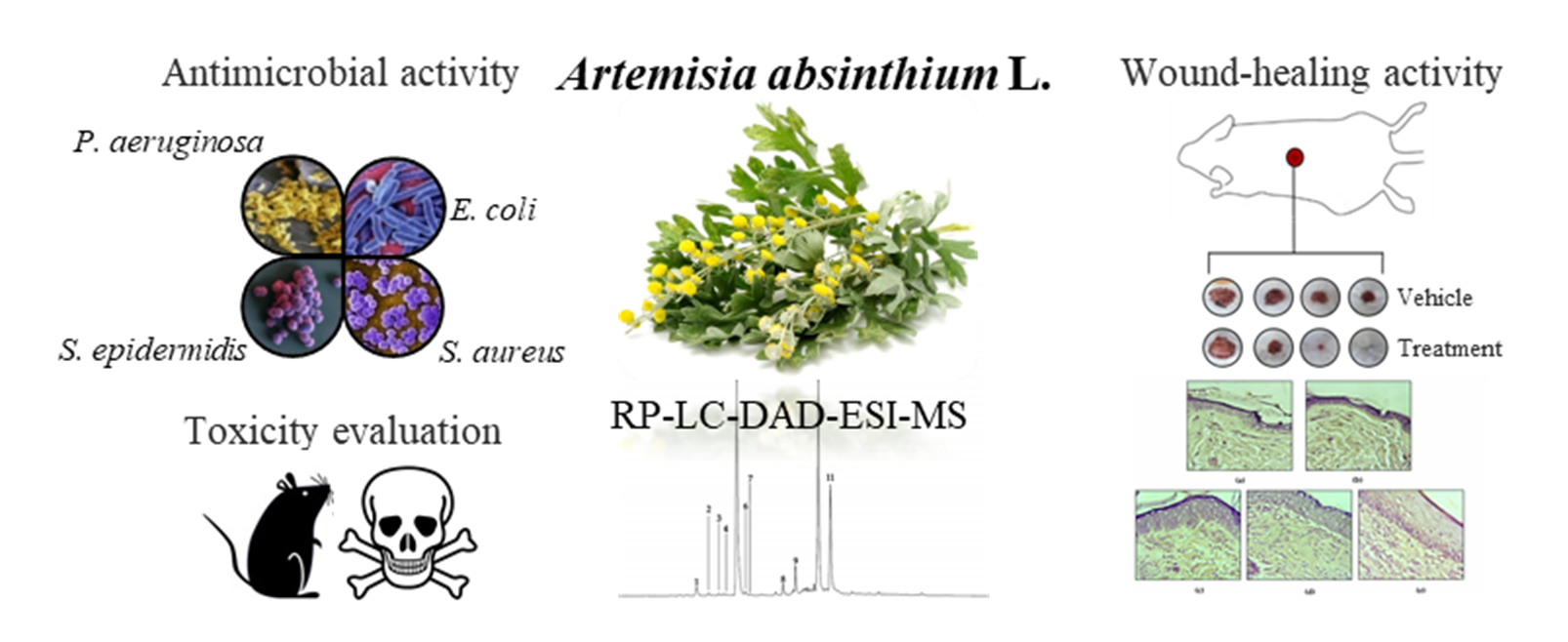 Plants | Free Full-Text | Phytochemical Profile, Safety Assessment and ...