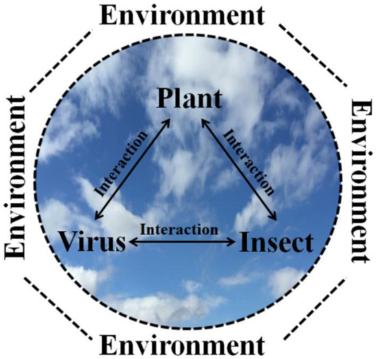 The Epidemiology of Plant Virus Disease: Towards a New Synthesis