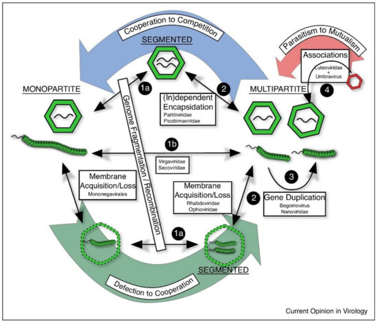 The Epidemiology of Plant Virus Disease: Towards a New Synthesis