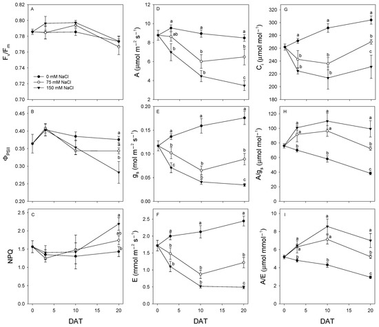 Salinity-Induced Changes of Photosynthetic Performance, Lawsone, VOCs ...