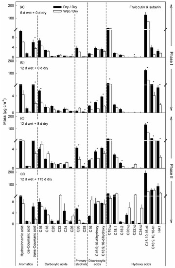 Russeting in Apple is Initiated after Exposure to Moisture Ends ...