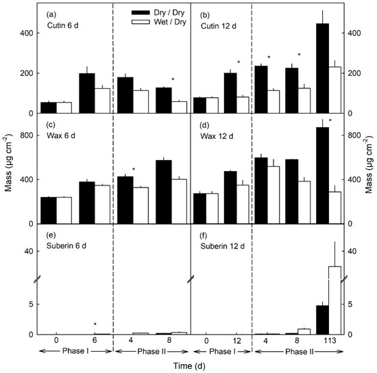 Russeting in Apple is Initiated after Exposure to Moisture Ends ...