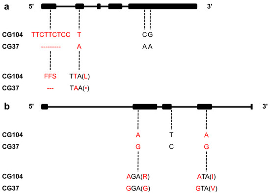 Identification of QTLs Controlling Salt Tolerance in Cucumber (Cucumis ...