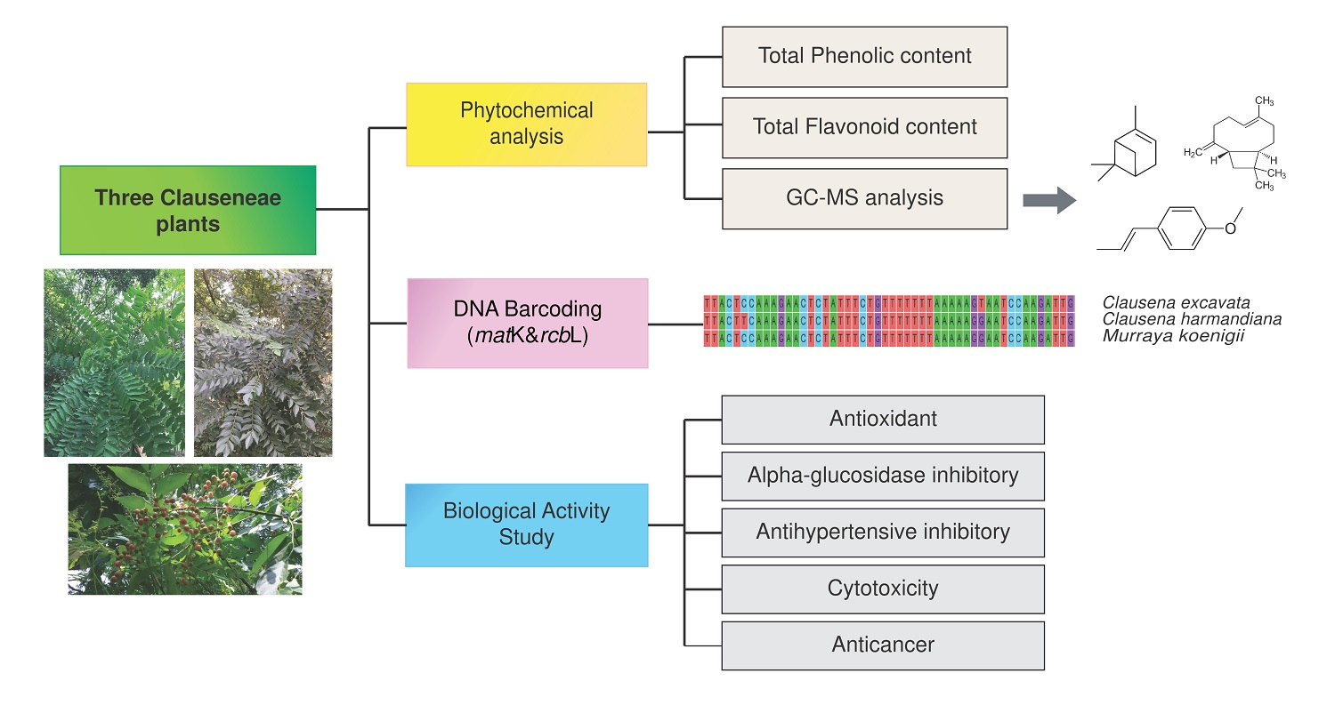 Plants | Free Full-Text | Phytochemical Analysis and Evaluation of ...