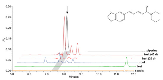 Piper nigrum CYP719A37 Catalyzes the Decisive Methylenedioxy Bridge ...